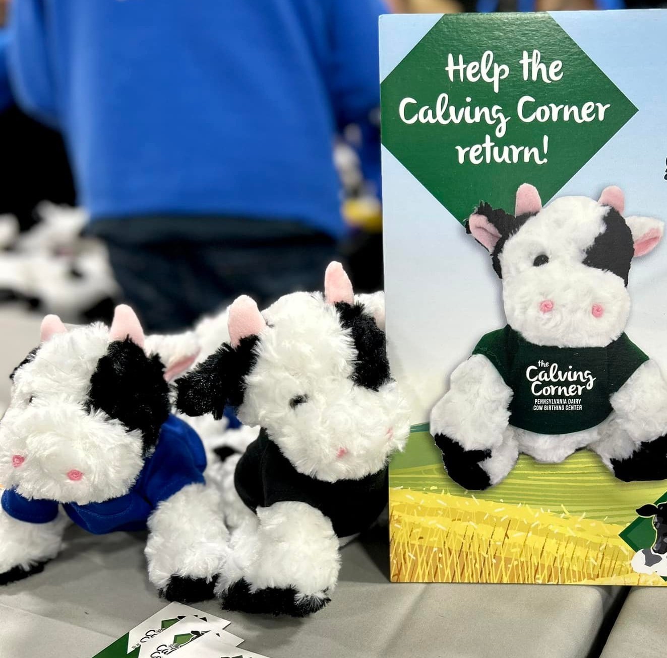 Calving Corner Plush Cows – Online Donation | Center for Dairy Excellence